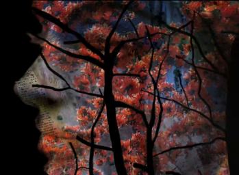 Had-Anhad (Bounded-Boundless) - Journeys with Ram and Kabir: Chapter 1 ...